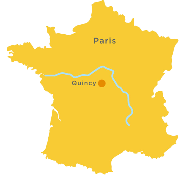 AOC Quincy - Découvrez les vins de l'AOC Quincy