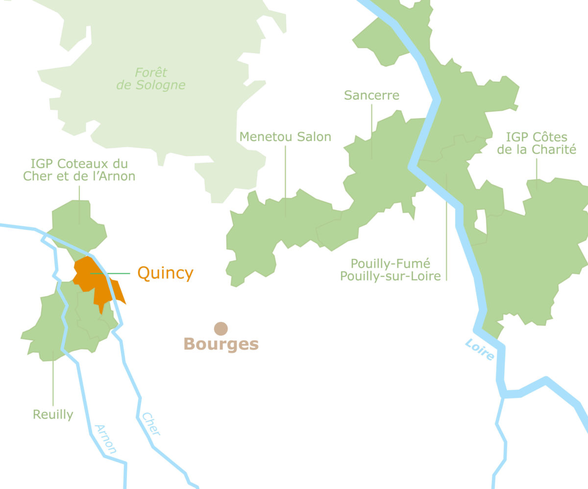 AOC Quincy - Découvrez les vins de l'AOC Quincy